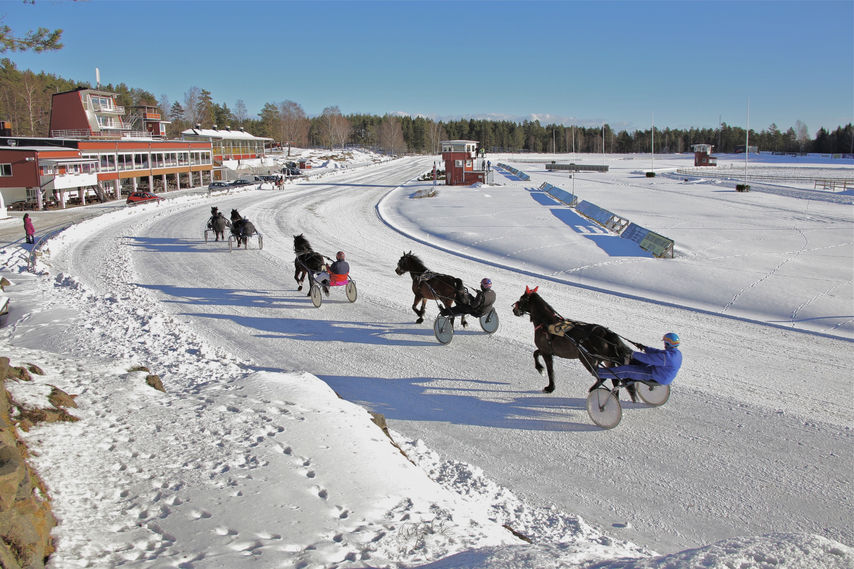 Intresseföreningar och Travklubbar